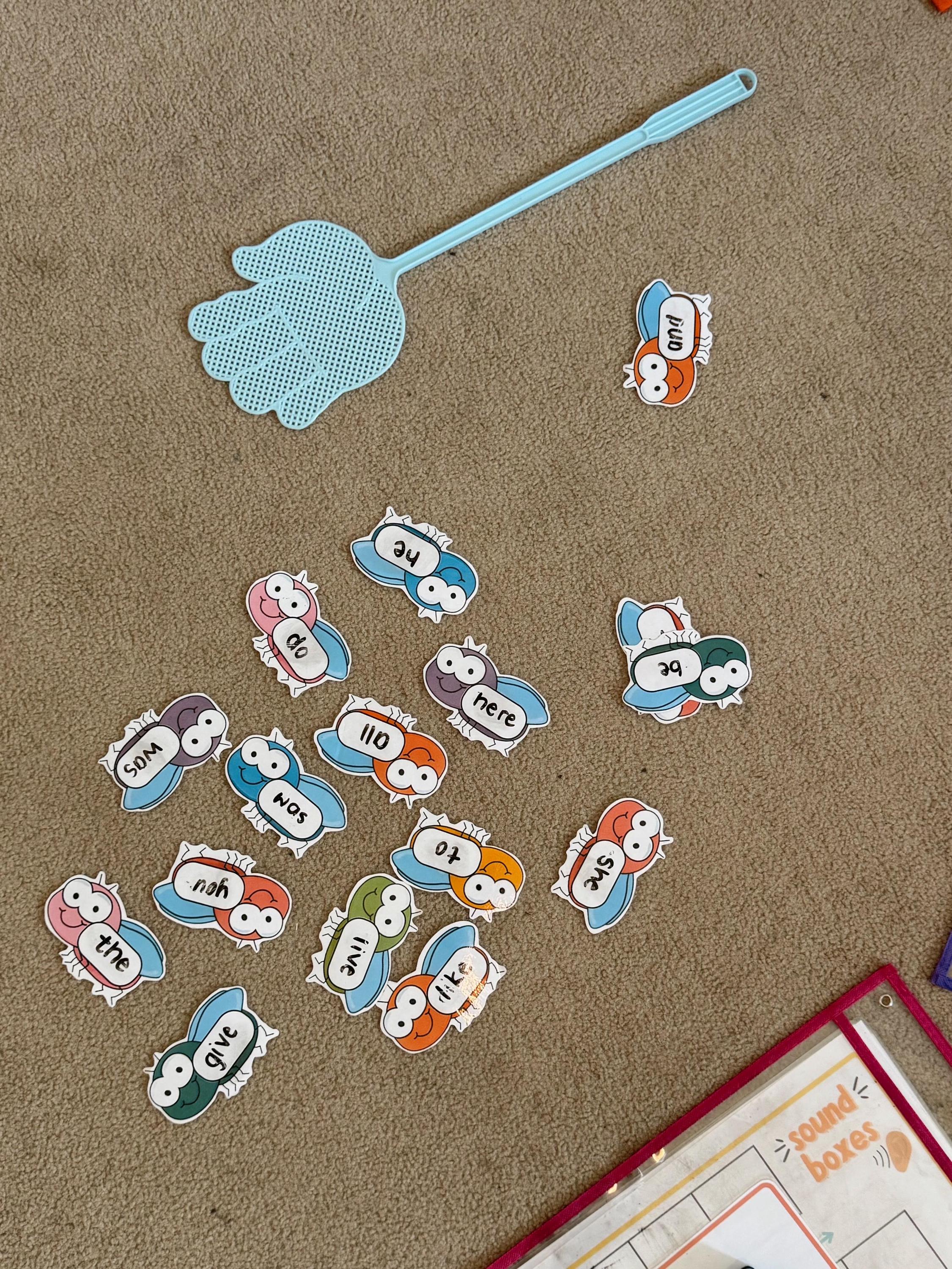 Fly Swat Game | Erasable Flies for Phonics and Maths Games (PDF ...