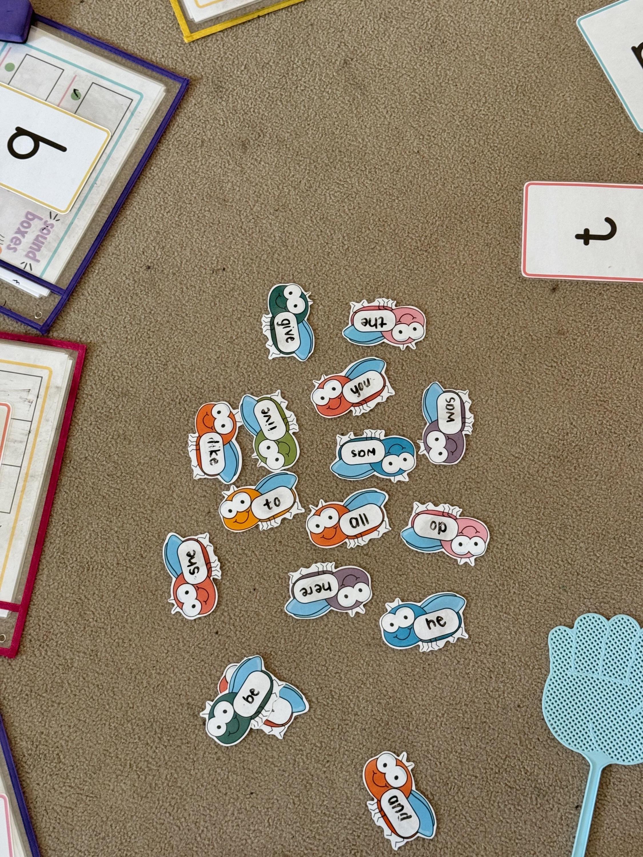 Fly Swat Game | Erasable Flies for Phonics and Maths Games (PDF ...