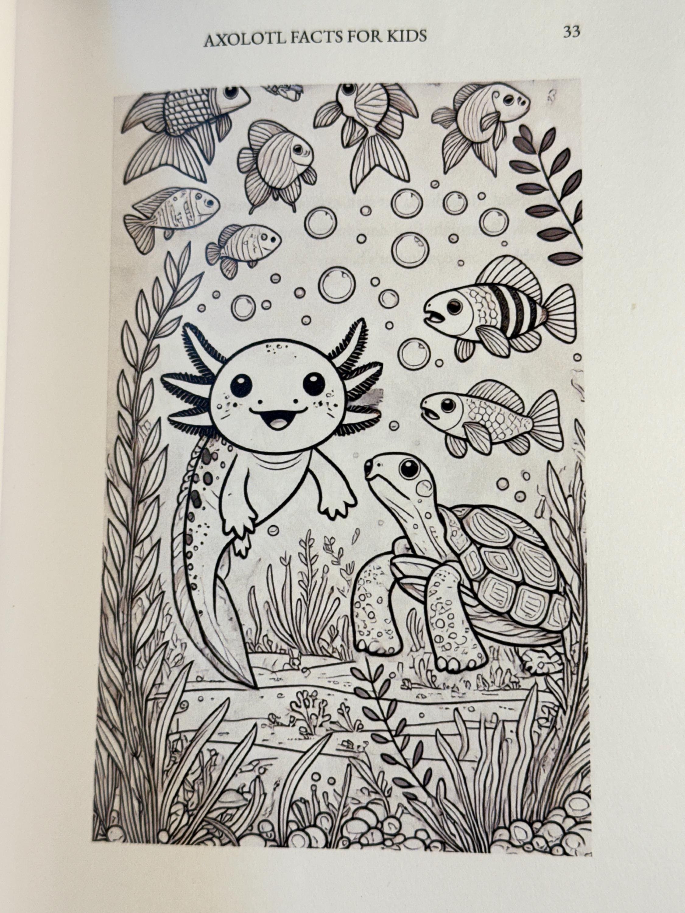 Axolotl Hardcover Book With Full Color Pictures Plus a Bold Green ...