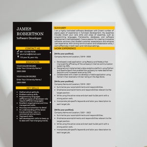 Software Developer CV Template Modern Template in Word-creative Resume ...