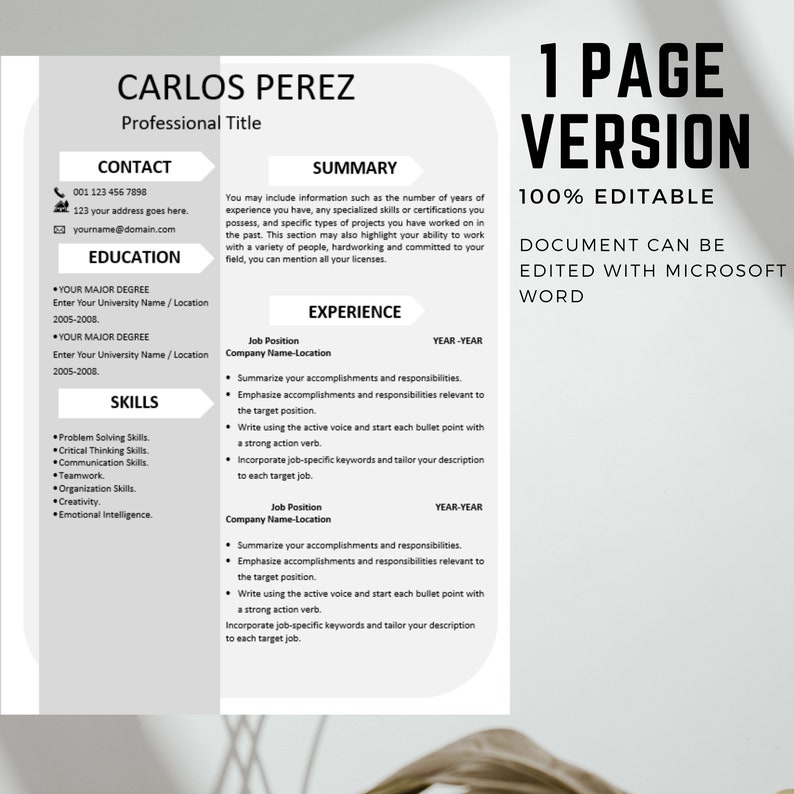 Professional CV Template in Word Creative Resume Sample,modern CV ...