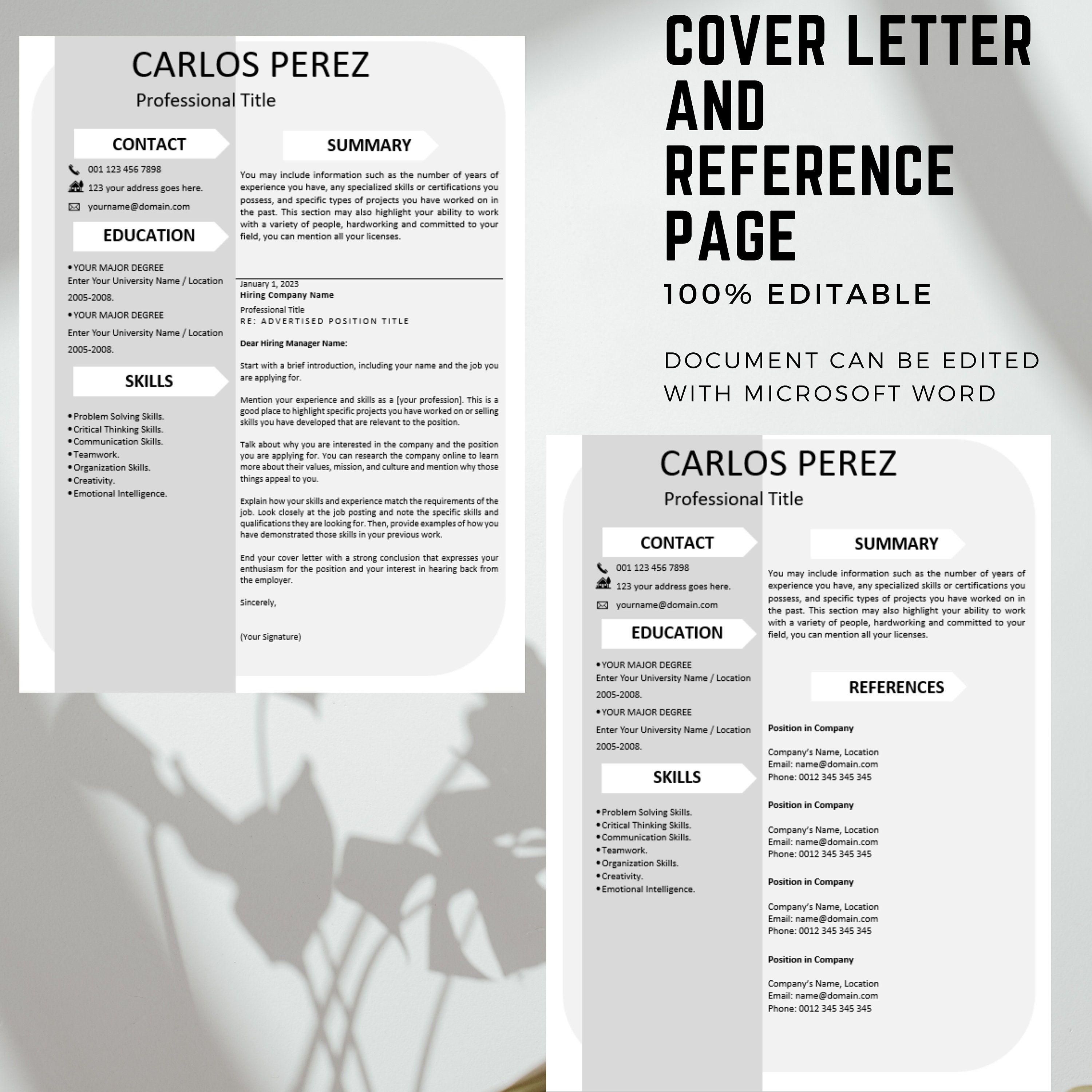 Professional CV Template in Word Creative Resume Sample,modern CV ...
