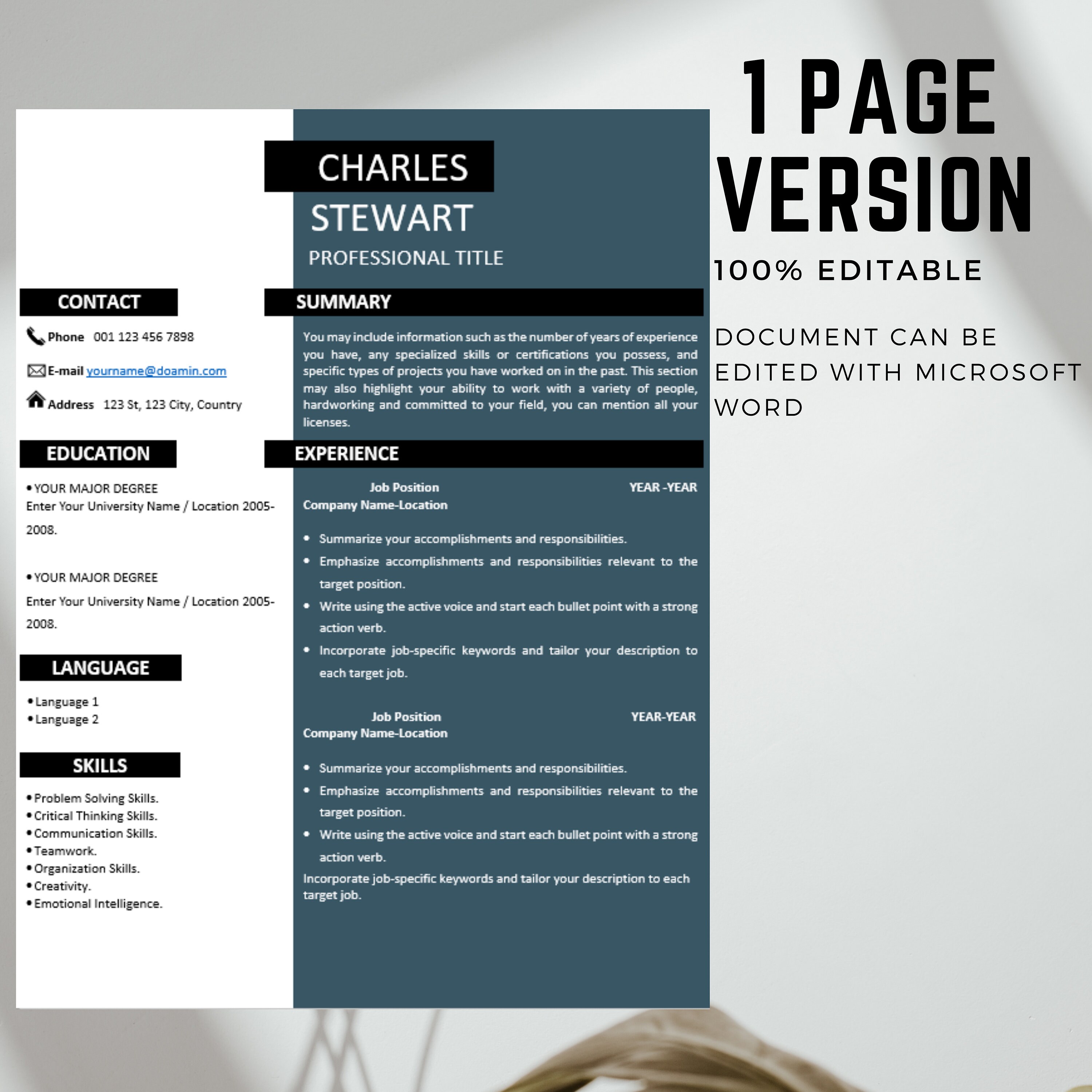 Professional CV Template in Word Creative Resume Sample,modern CV ...