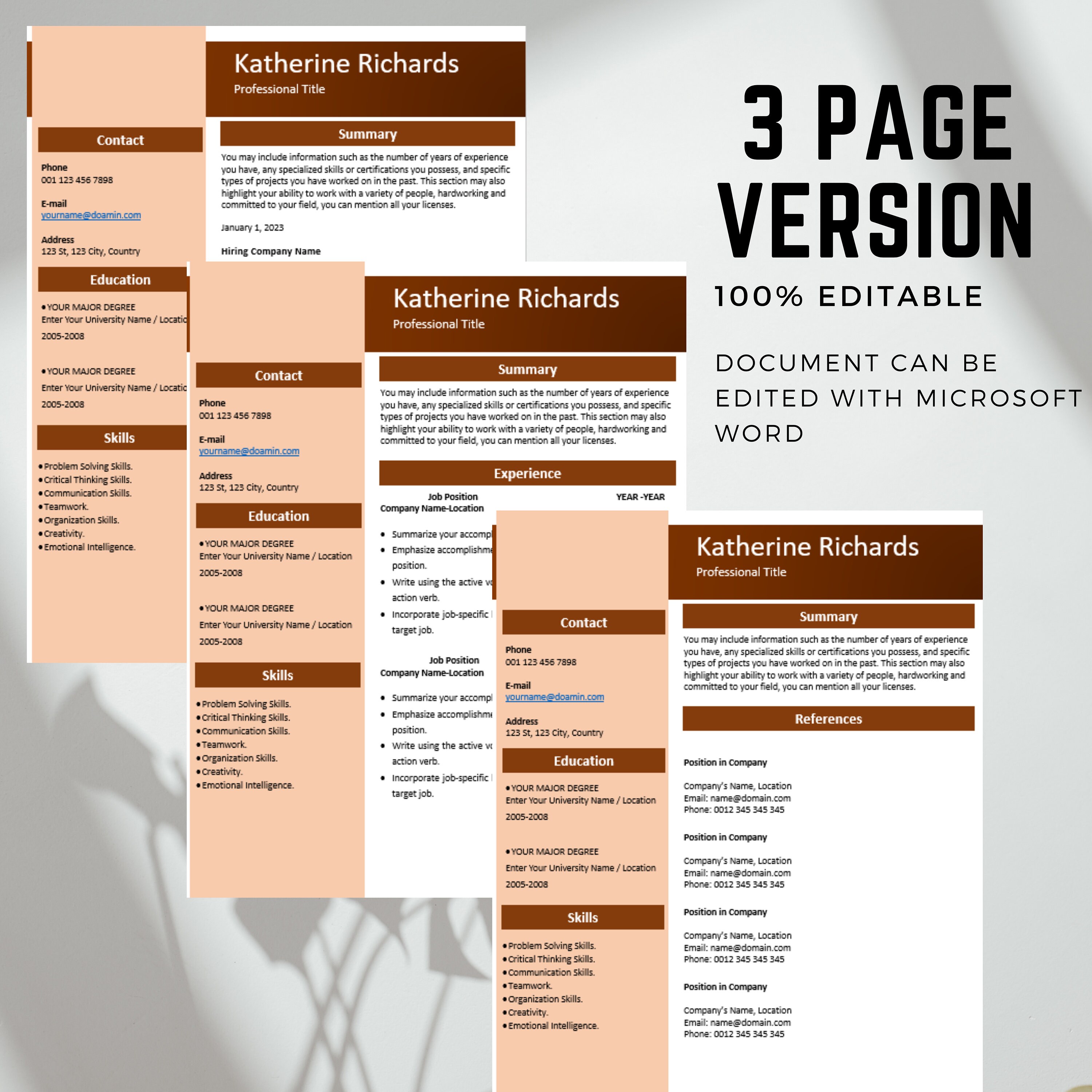 Professional CV Template in Word Creative Resume Sample,modern CV ...