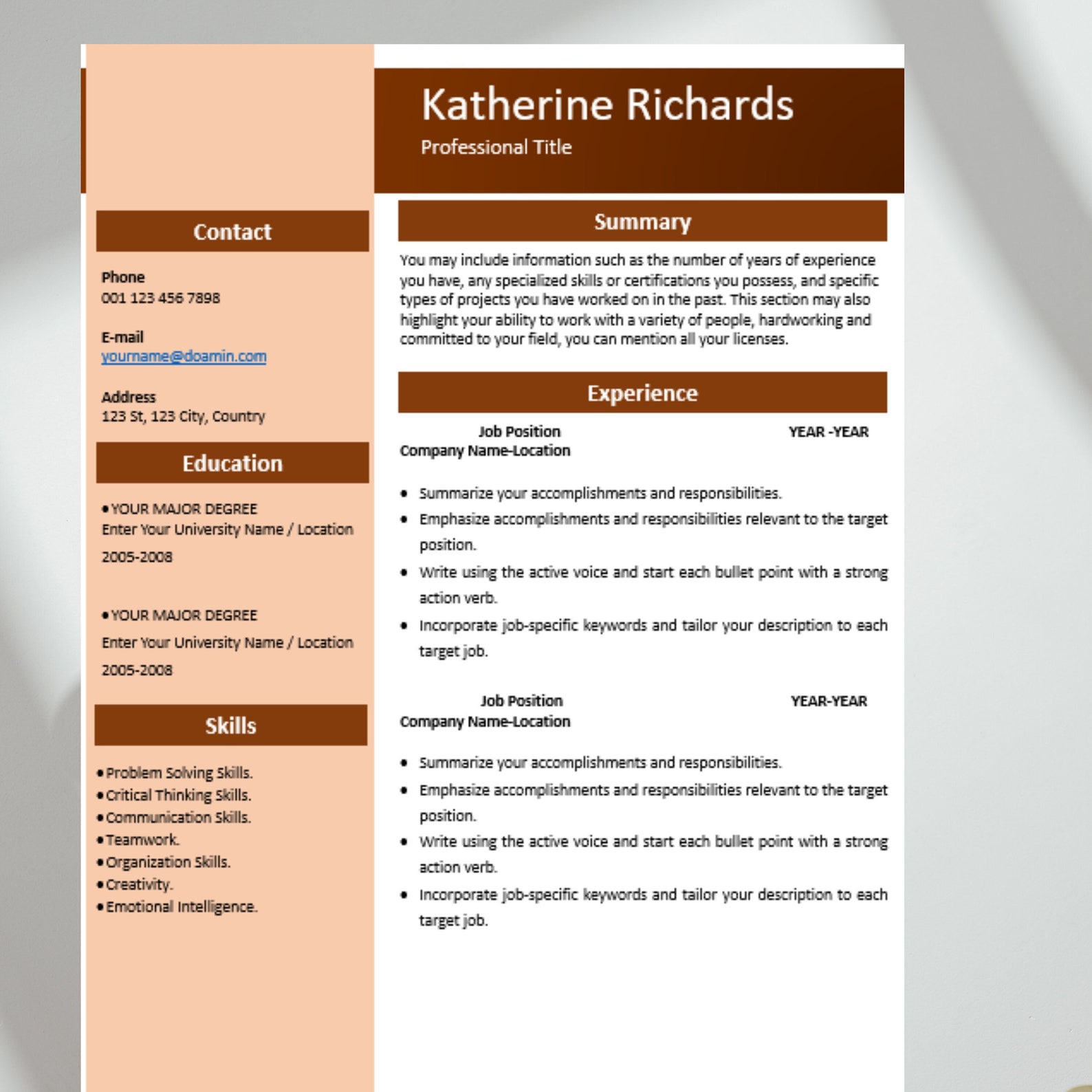 Professional CV Template in Word Creative Resume Sample,modern CV ...