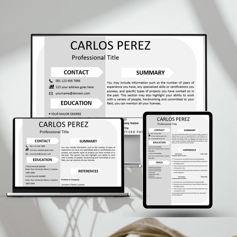 Professional CV Template in Word Creative Resume Sample,modern CV ...