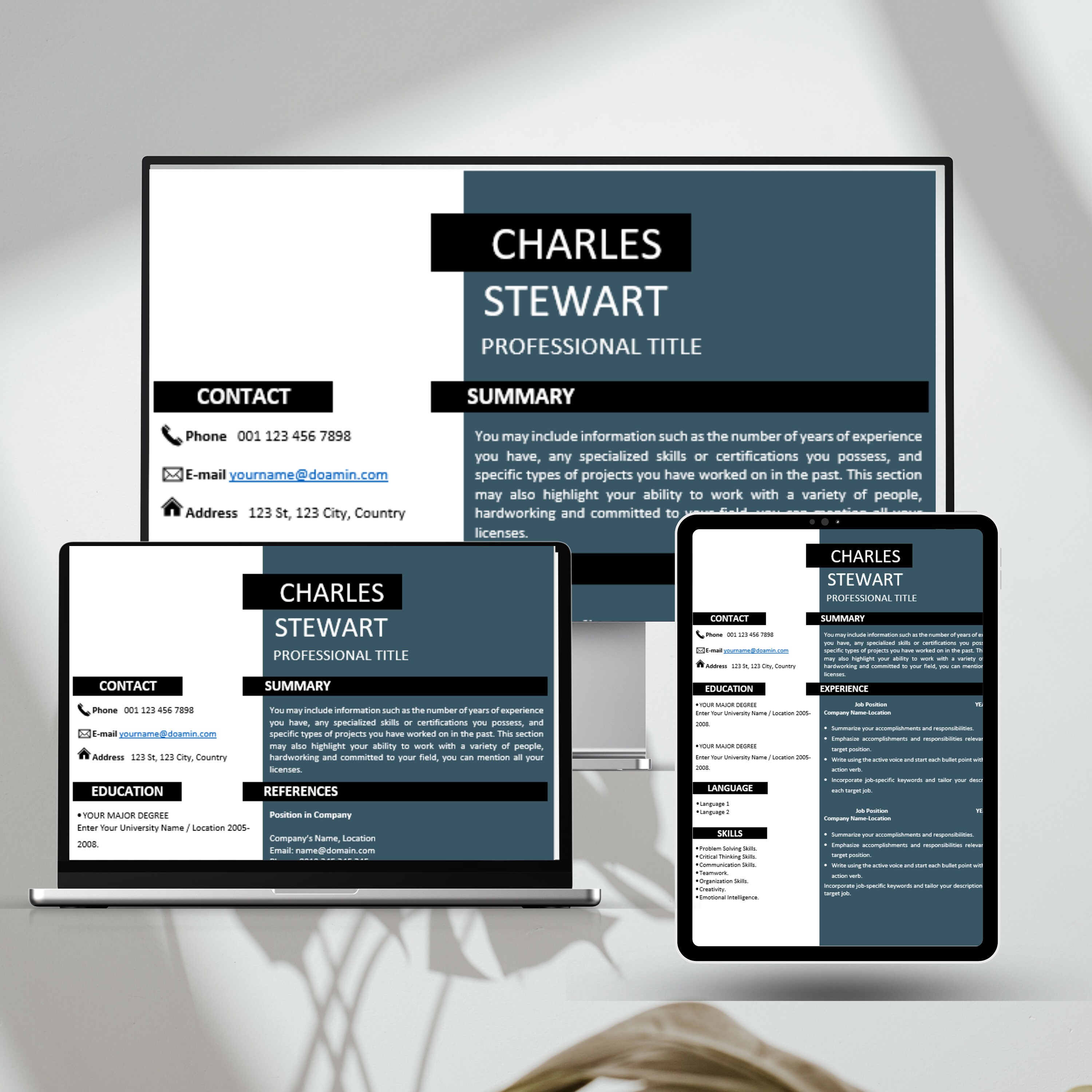 Professional CV Template in Word Creative Resume Sample,modern CV ...