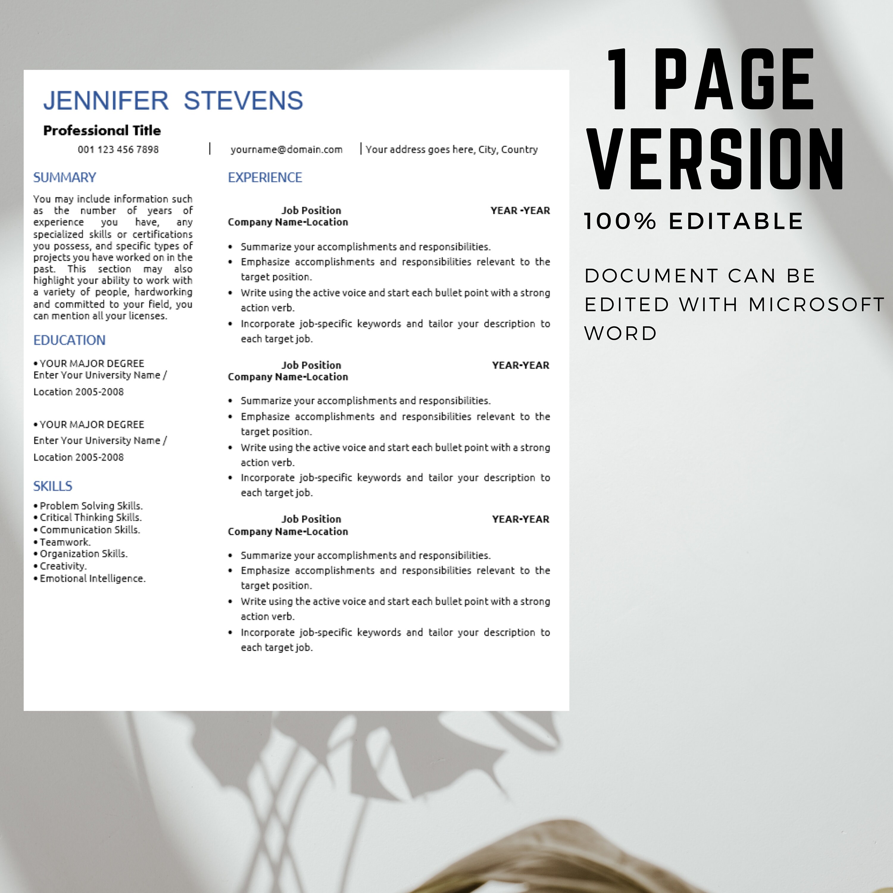 Professional CV Template in Word Creative Resume Sample,modern CV ...