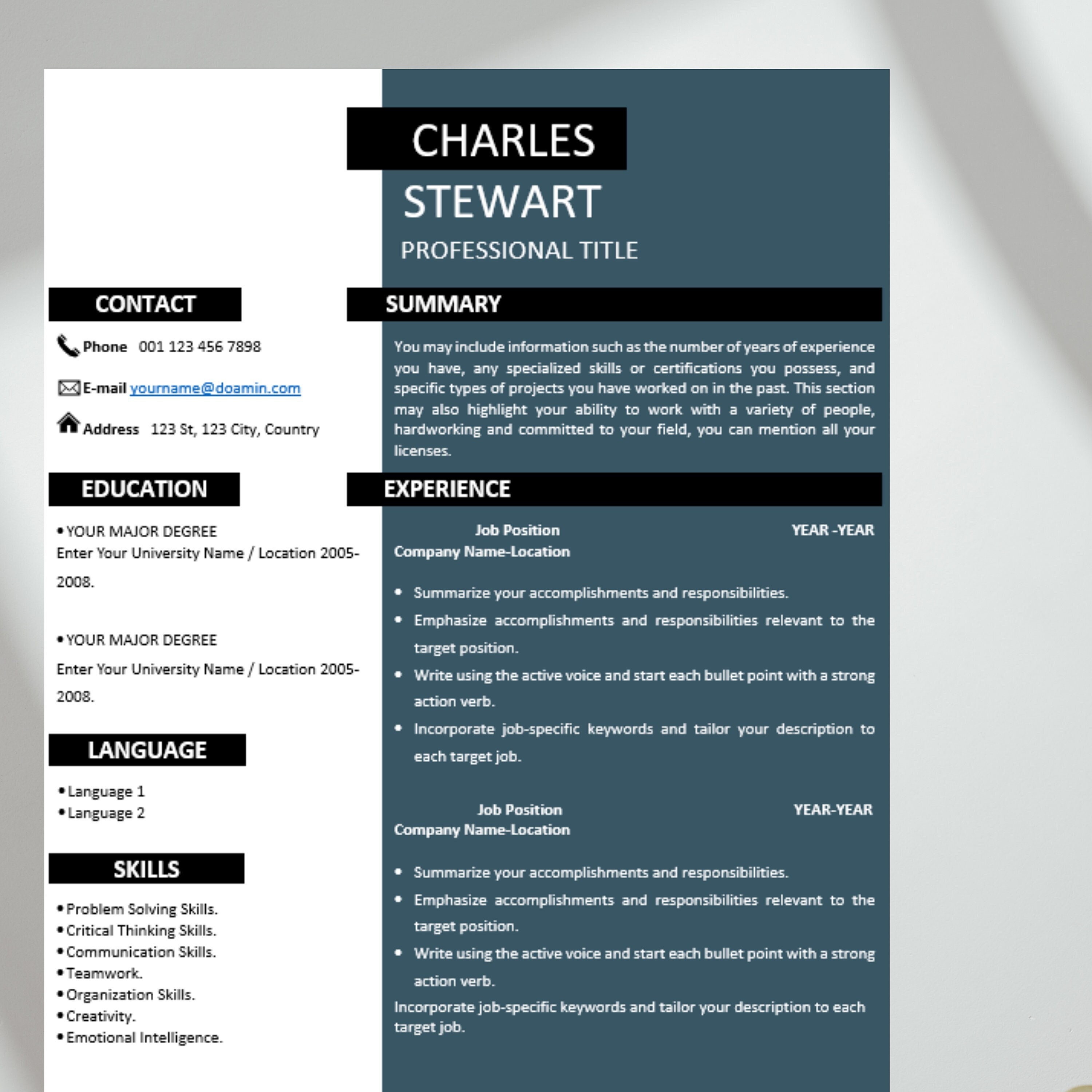 Professional CV Template in Word Creative Resume Sample,modern CV ...