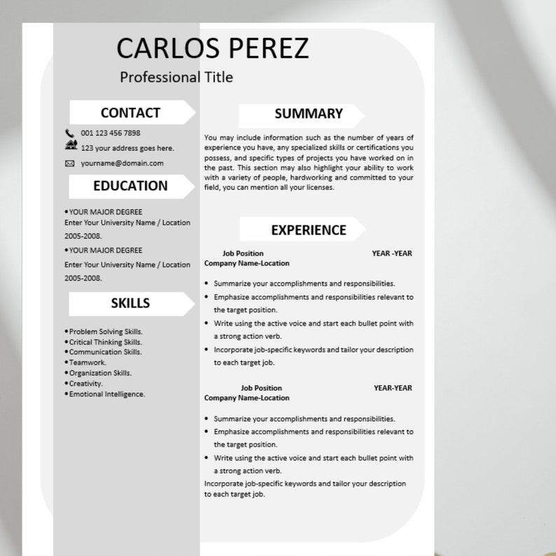 Professional CV Template in Word Creative Resume Sample,modern CV ...