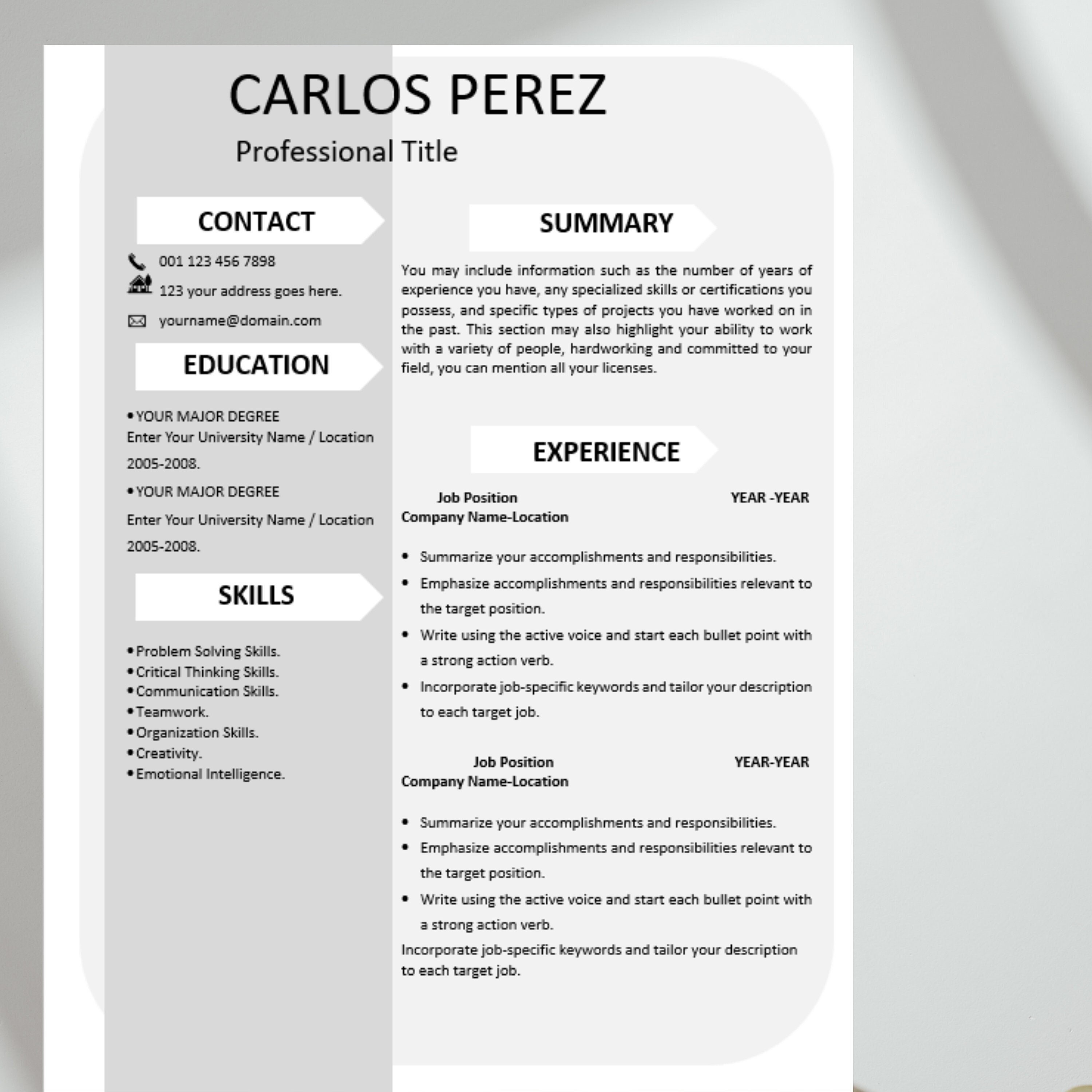 Professional CV Template in Word Creative Resume Sample,modern CV ...