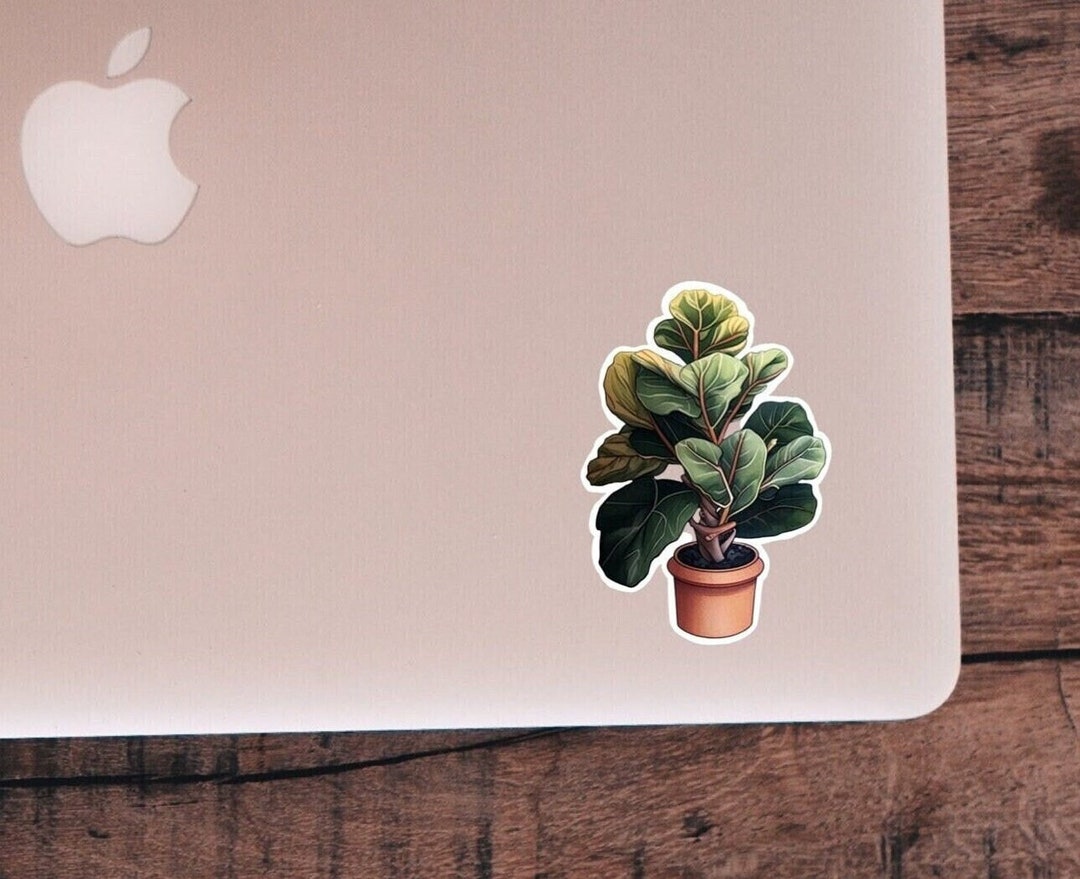 Fiddle Fig Tree Sicker| Waterproof Vinyl Sticker, Plant Sticker, Tree ...