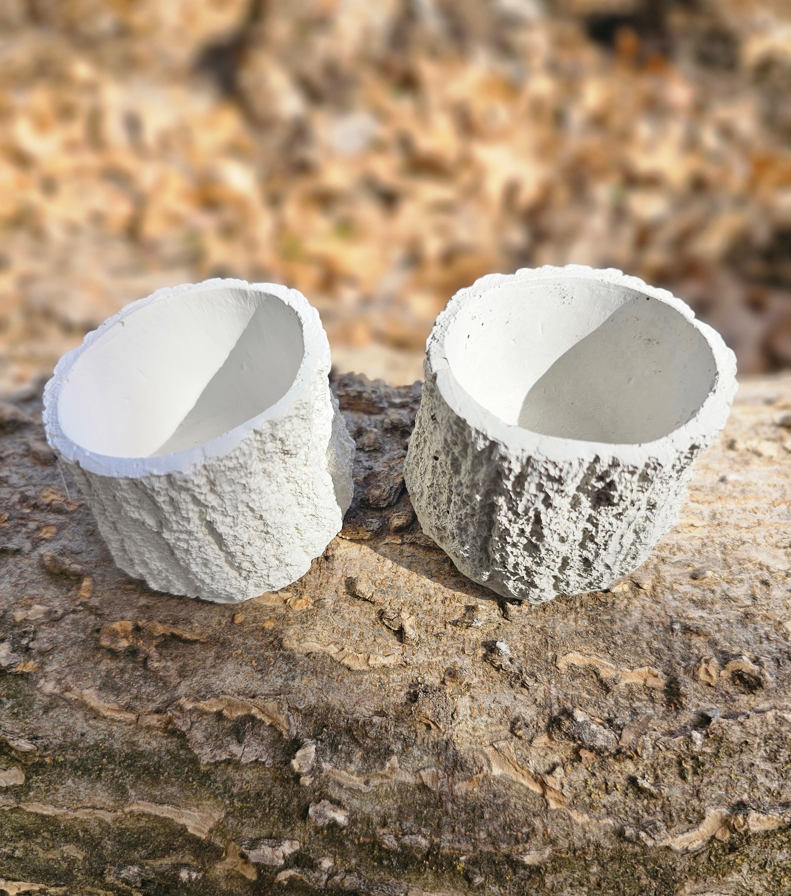 Pair of Small Tree Stump Pots Home Garden Patio Office Decor - Etsy