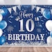 10th Birthday Banner Backdrop Decorations for Girl Boy Blue Silver ...