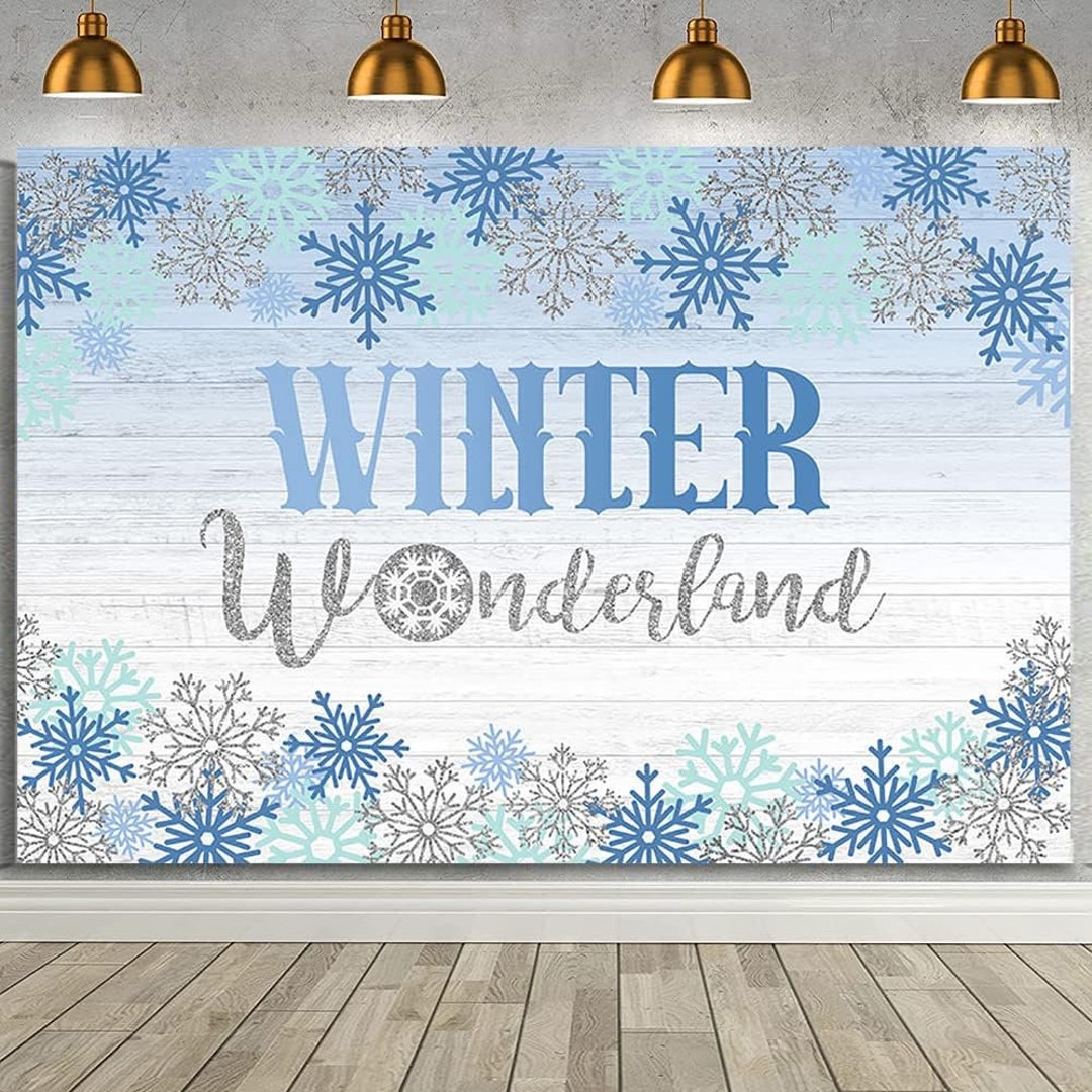 Winter Onederland Backdrop Boy Blue and Silver 1st Birthday Vinyl Photo ...