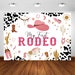 My First Rodeo Birthday Backdrop Boys Western Cowboy 1st Birthday Vinyl ...