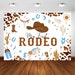 My First Rodeo Birthday Backdrop Boys Western Cowboy 1st Birthday Vinyl ...