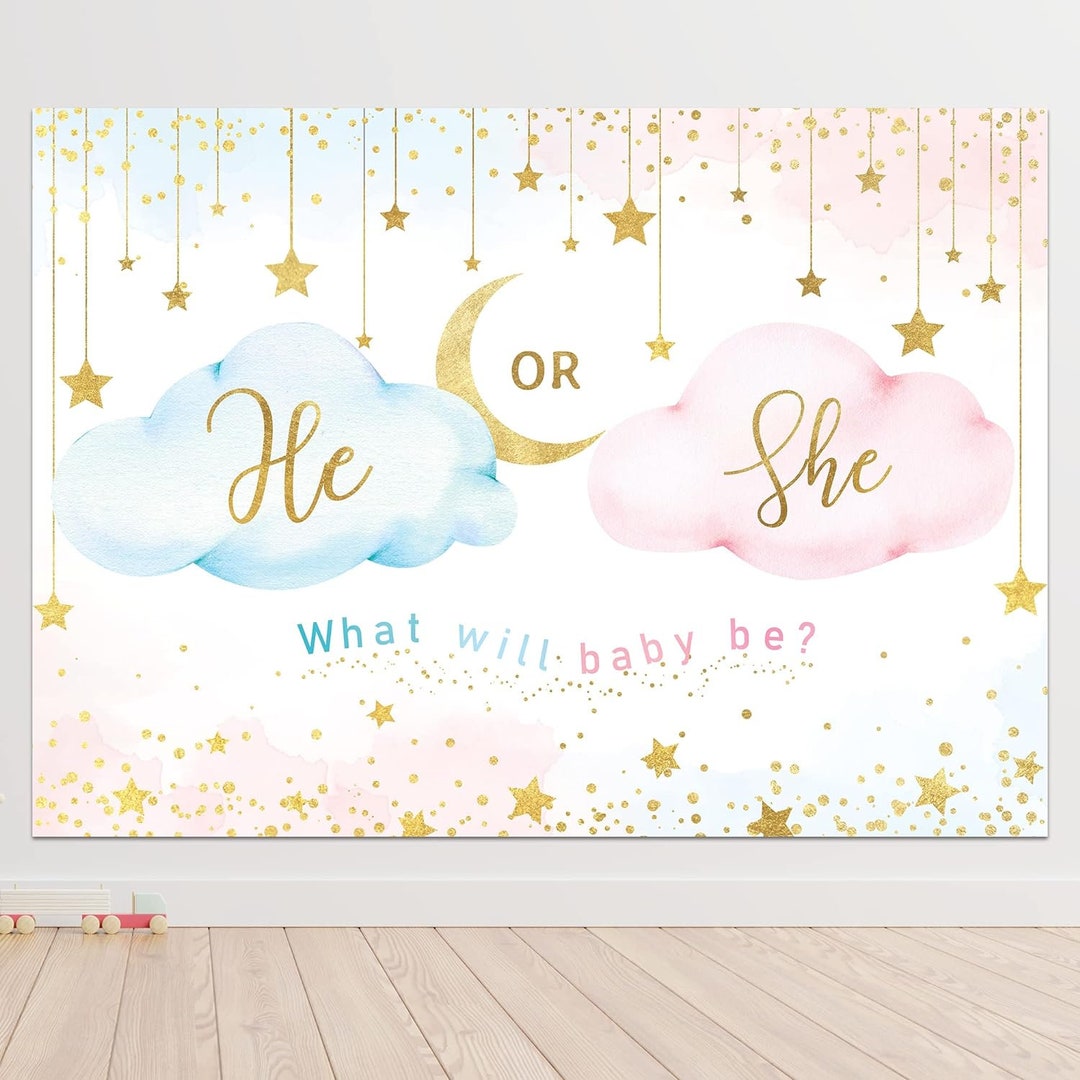 He or She Gender Reveal Backdrop, Moon and Stars Gender Reveal Backdrop ...