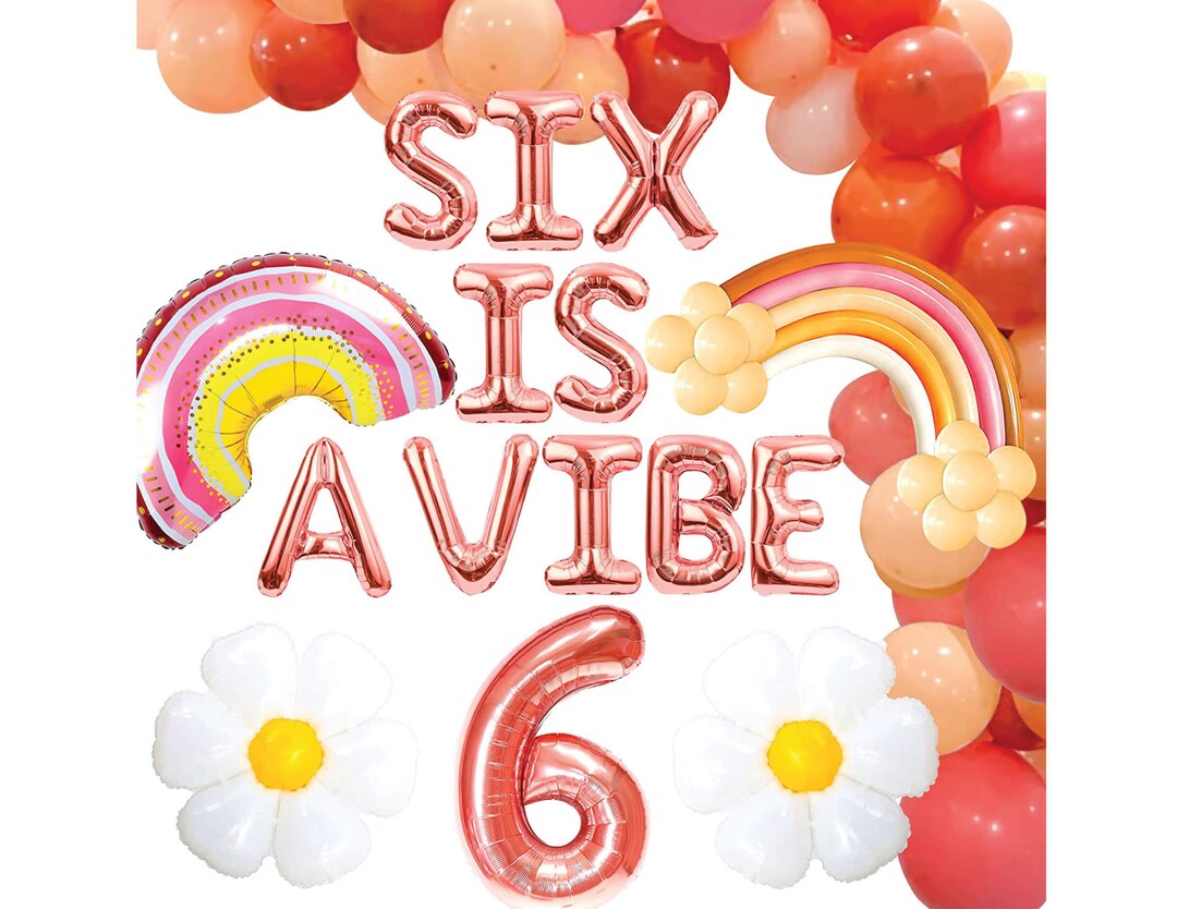 Six is a Vibe Balloons Kit, Six is a Vibe Birthday Decoration, Rose ...