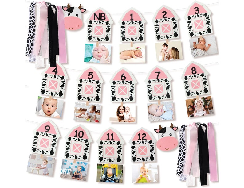 Farm Animals 1st Birthday Monthly Photo Banner Barnyard Cow Theme First ...
