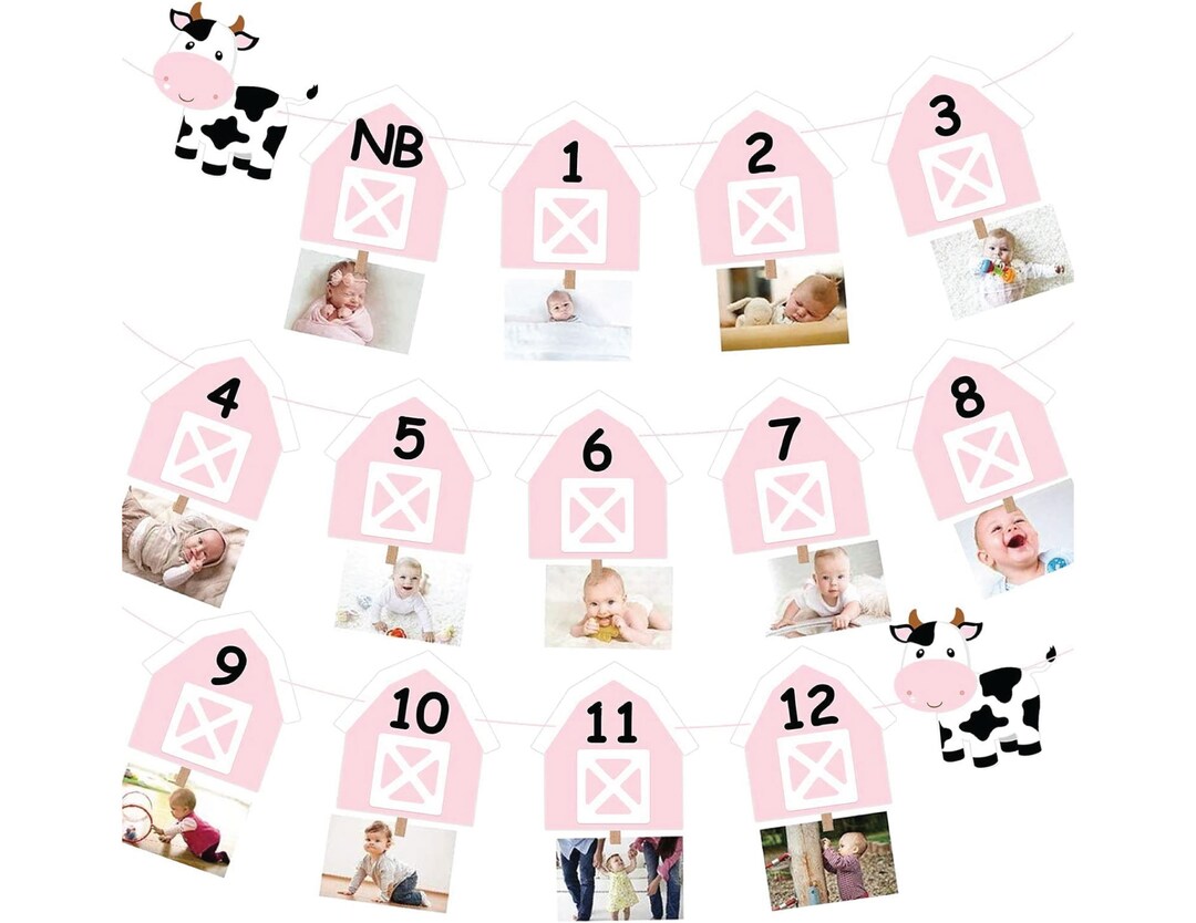Farm Animals 1st Birthday Monthly Photo Banner Barnyard Theme First ...