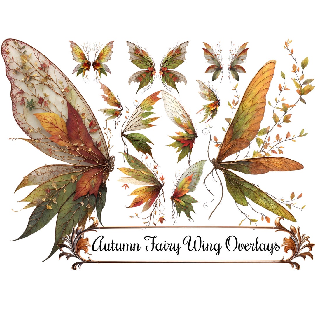 Autumn Fairy Wings Clip Art, Fantasy Wing Overlays Digital Art Instant ...