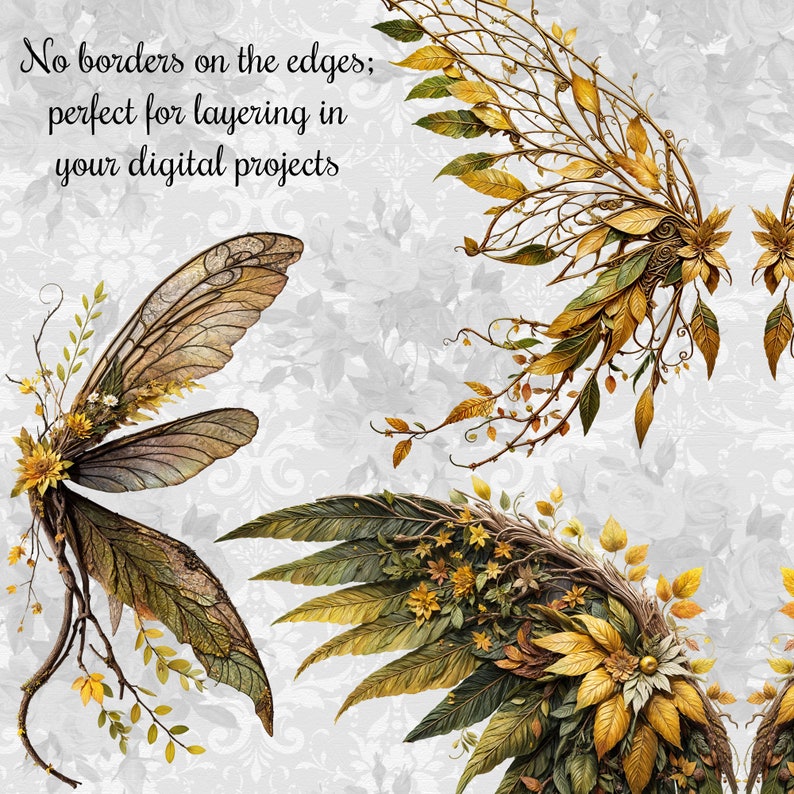 Woodland Fairy Wings Clip Art, Fantasy Wing Overlays Digital Art ...