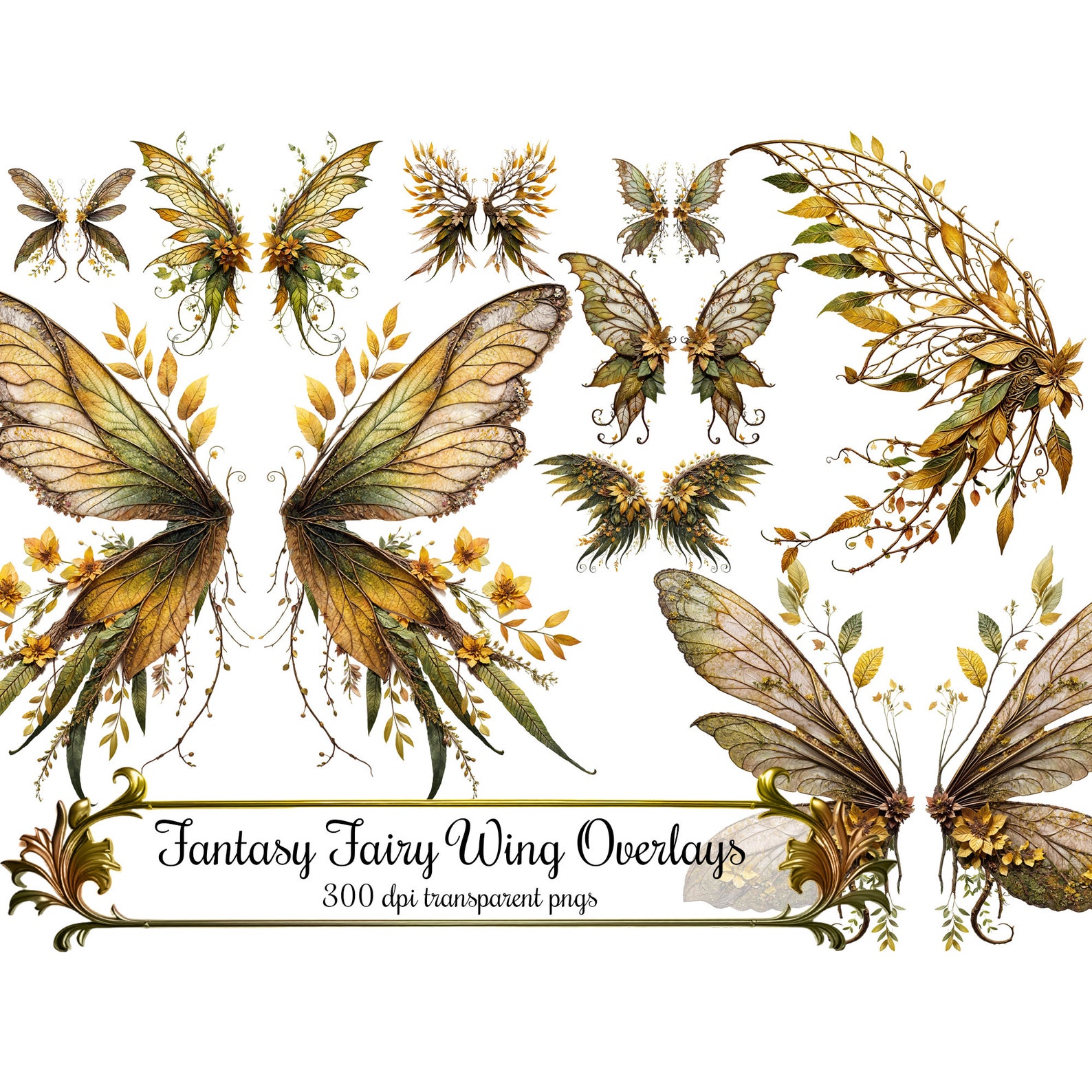 Woodland Fairy Wings Clip Art, Fantasy Wing Overlays Digital Art ...
