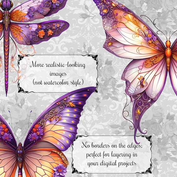 Dragonfly Border Clip Art