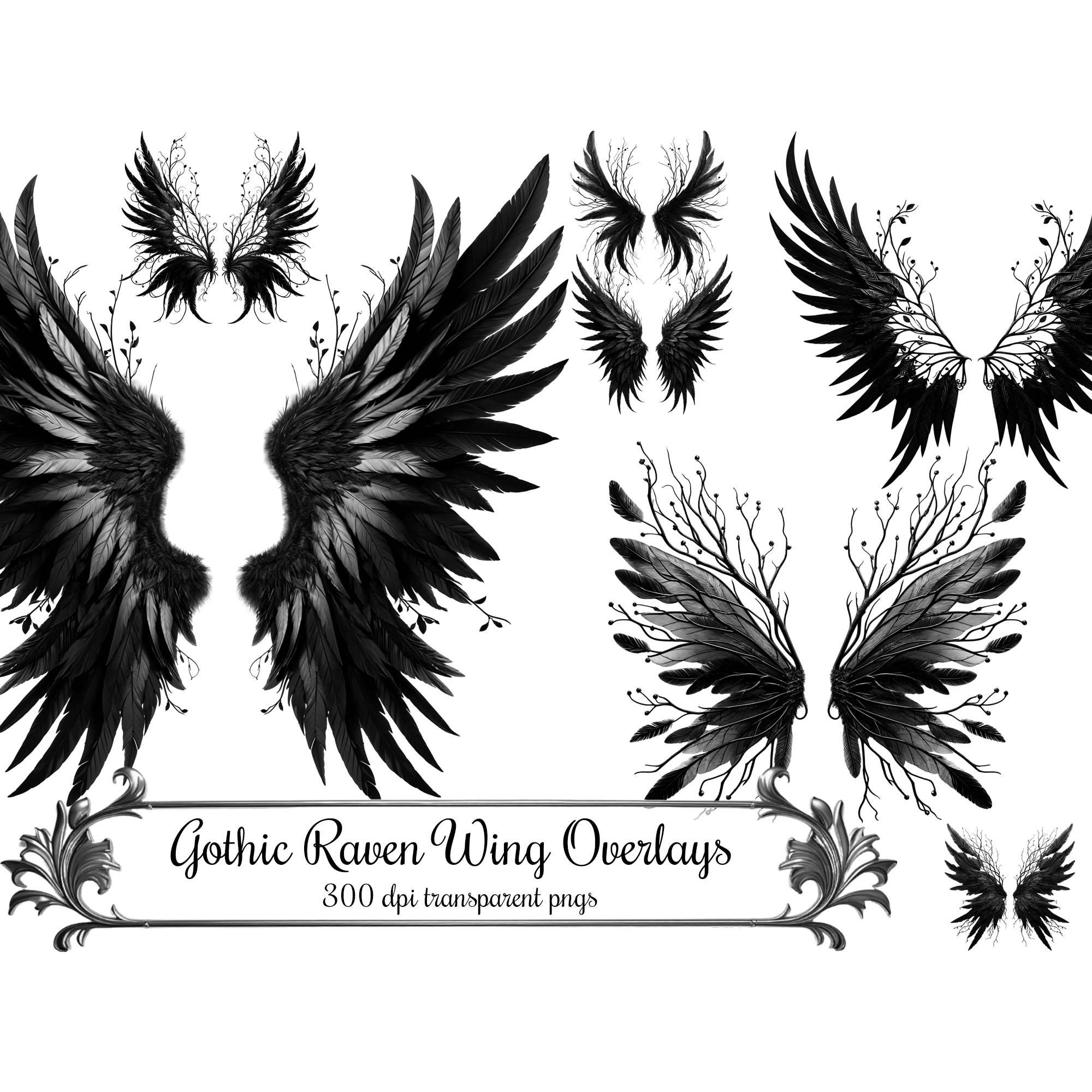 Gothic Raven Wings Clip Art, Black Feathered Wing PNG Overlays Digital ...