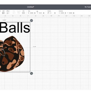 Funny Ball Python SVG - I Love Balls Svg | Snake Png Jpg Digital Files ...