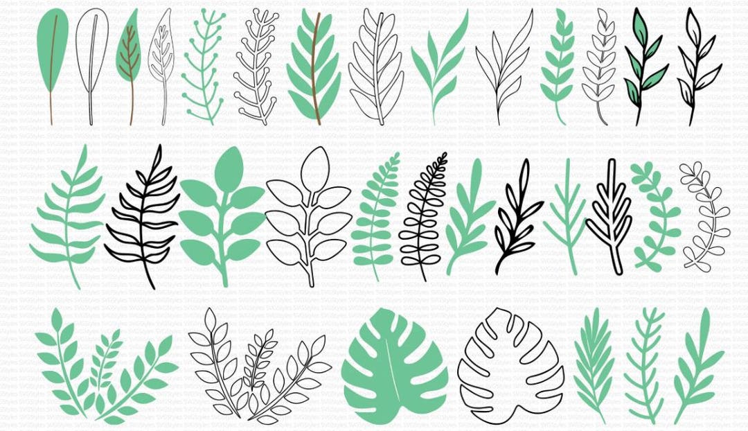 Leaf Bundle SVG Png Leaf SVG Bundle. Digital Cut Files Cut Out Die Cut ...