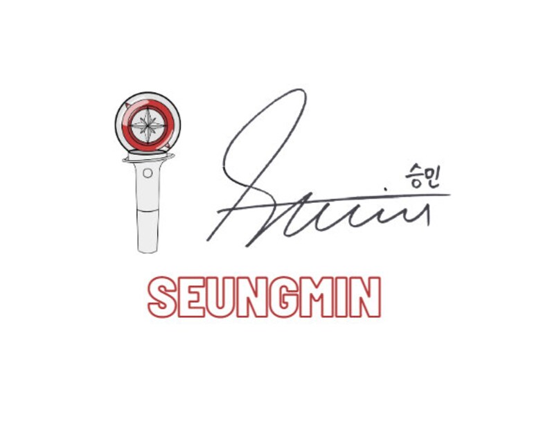 STRAY KIDS Seungmin Signature T-shirt simple - Etsy