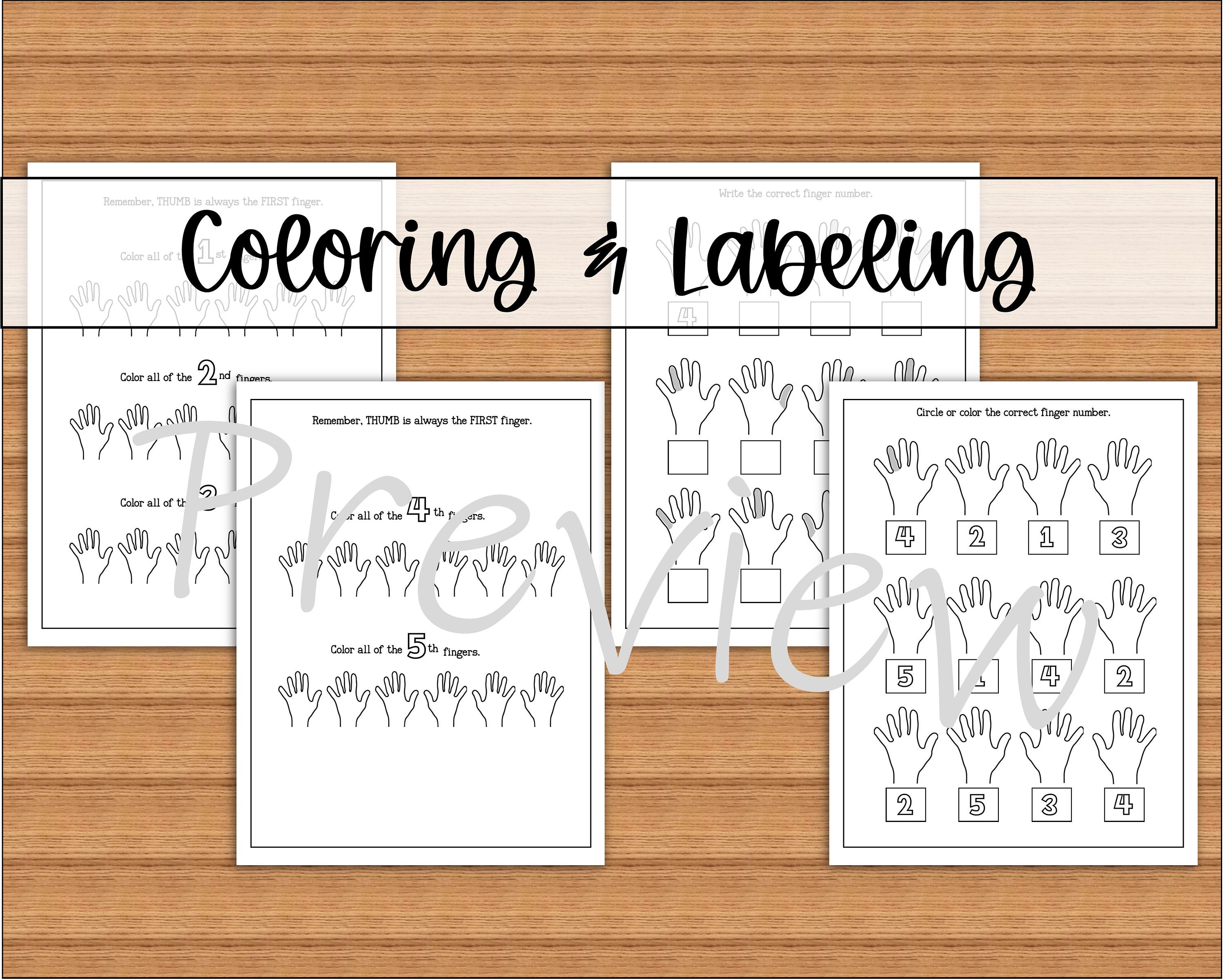 Preschool Piano Finger Number Worksheets: Beginning Piano Prep Finger ...