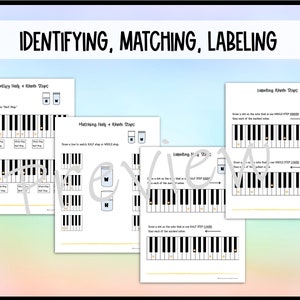 Finding Half Steps and Whole Steps Patterns on the Piano for Beginning ...