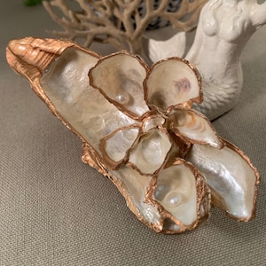 Unique Hand Crafted Pearlized Painted Oyster Shell Embellished With ...