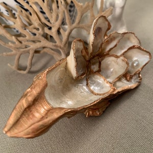 Unique Hand Crafted Pearlized Painted Oyster Shell Embellished With ...
