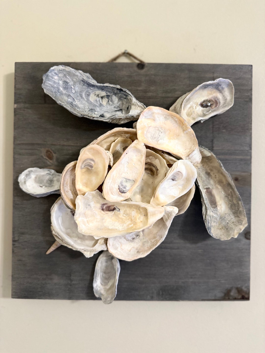 Natural Oyster Shell Sea Turtle Wall Art With Coastal Driftwood Look ...