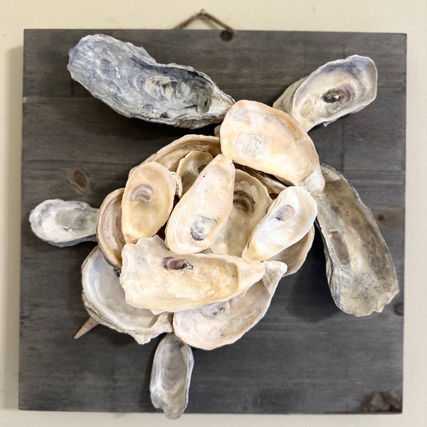 Framed Shell Art - Etsy