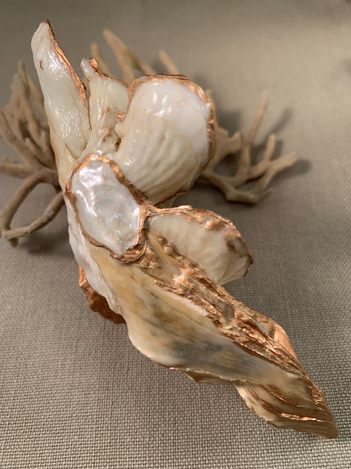 Unique Hand Crafted Pearlized Painted Oyster Shell Embellished With ...