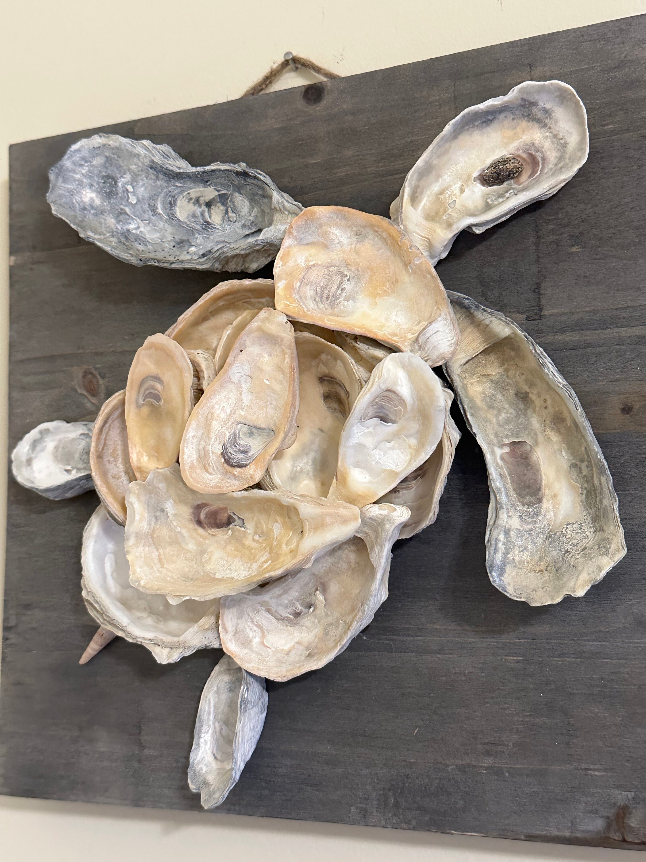 Natural Oyster Shell Sea Turtle Wall Art With Coastal Driftwood Look ...