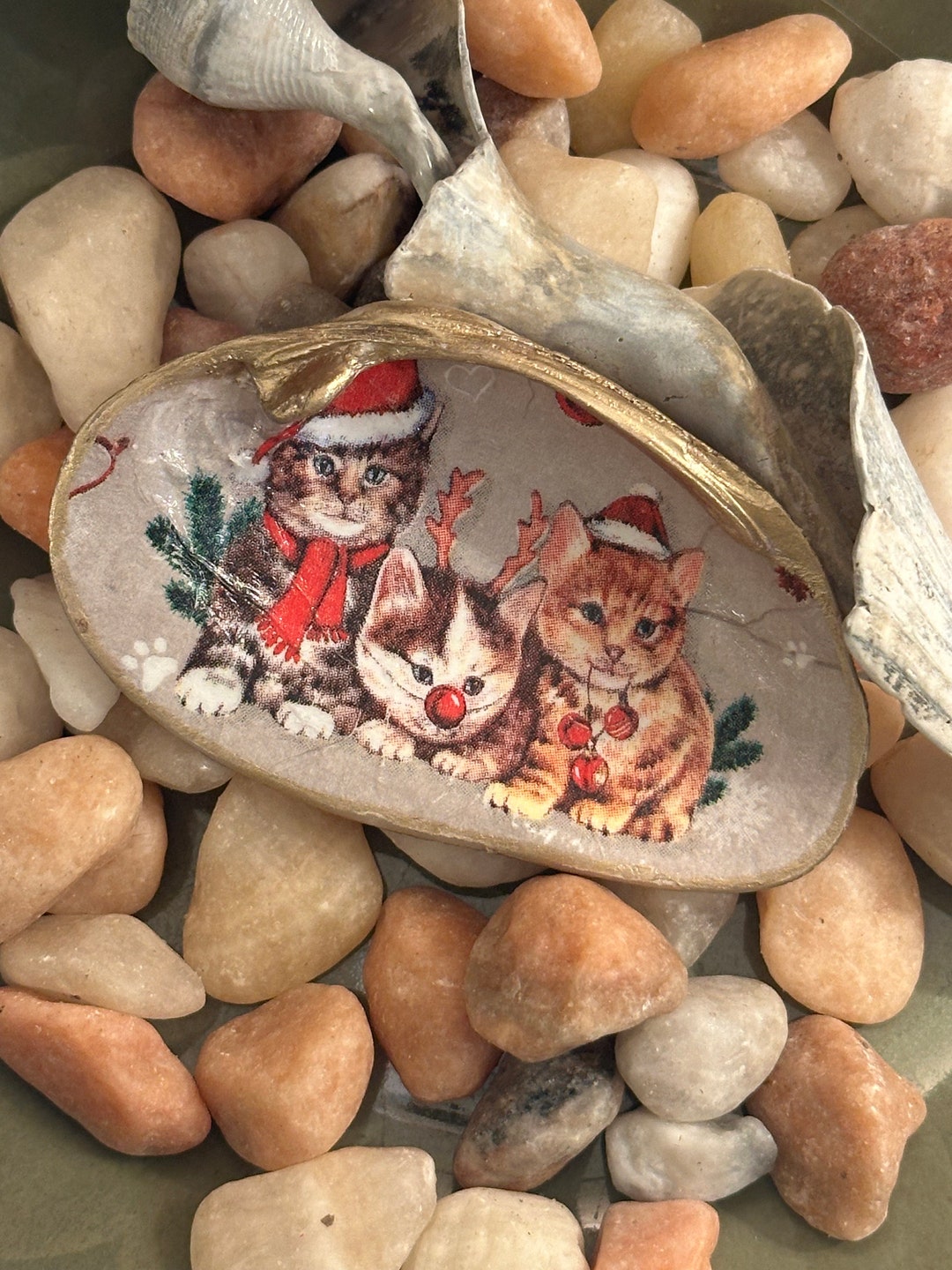 Christmas Dressed Kittens Decoupage Natural Clam Shell Trinket Dish and ...