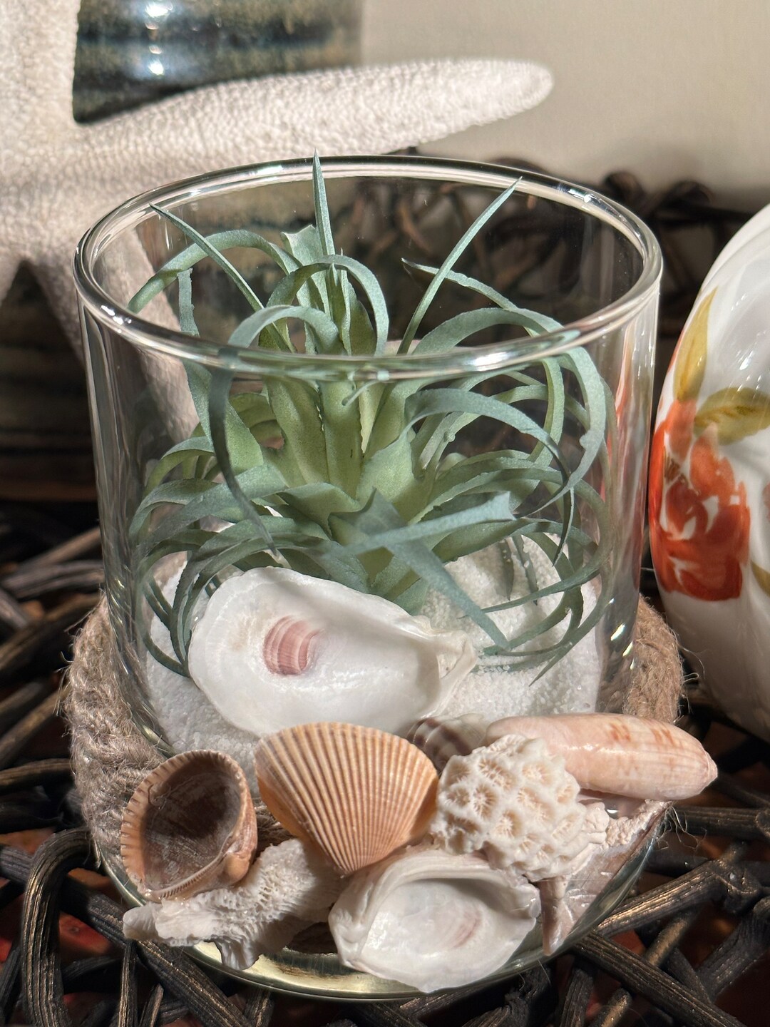 Coastal Home Glass Terrarium With Lifleike Air Plant and Seashells - Etsy