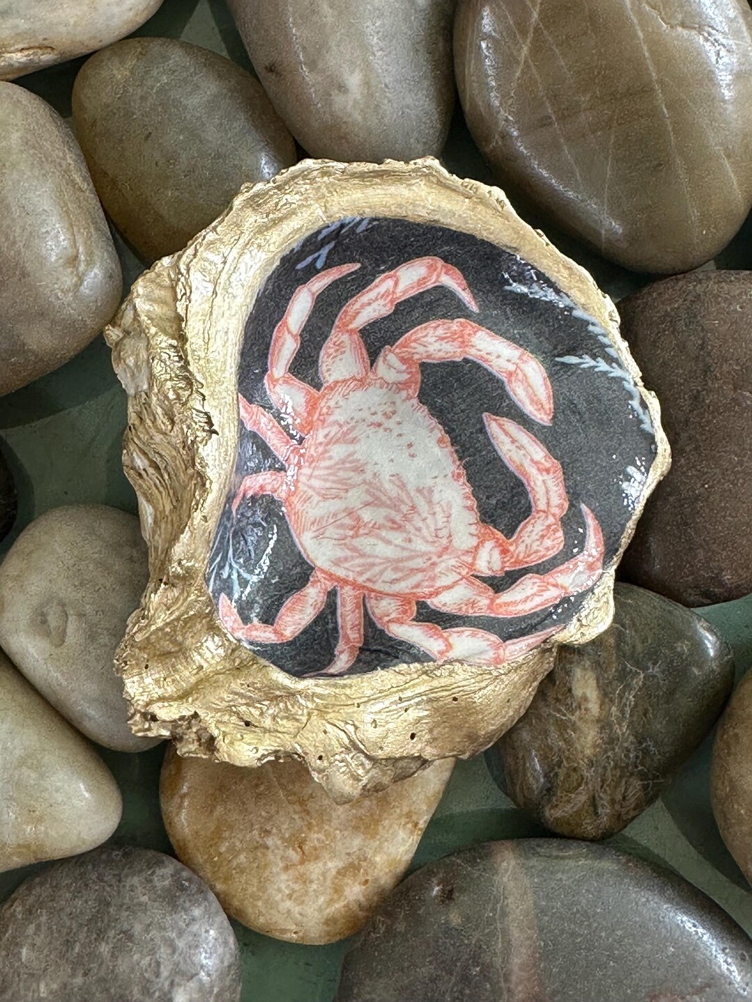 Decorative Coastal Crab Decoupage Natural Oyster Shell Trinket Dish - Etsy