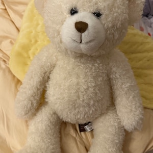 Haunted Teddy Bear Demonic Jasmine - Etsy