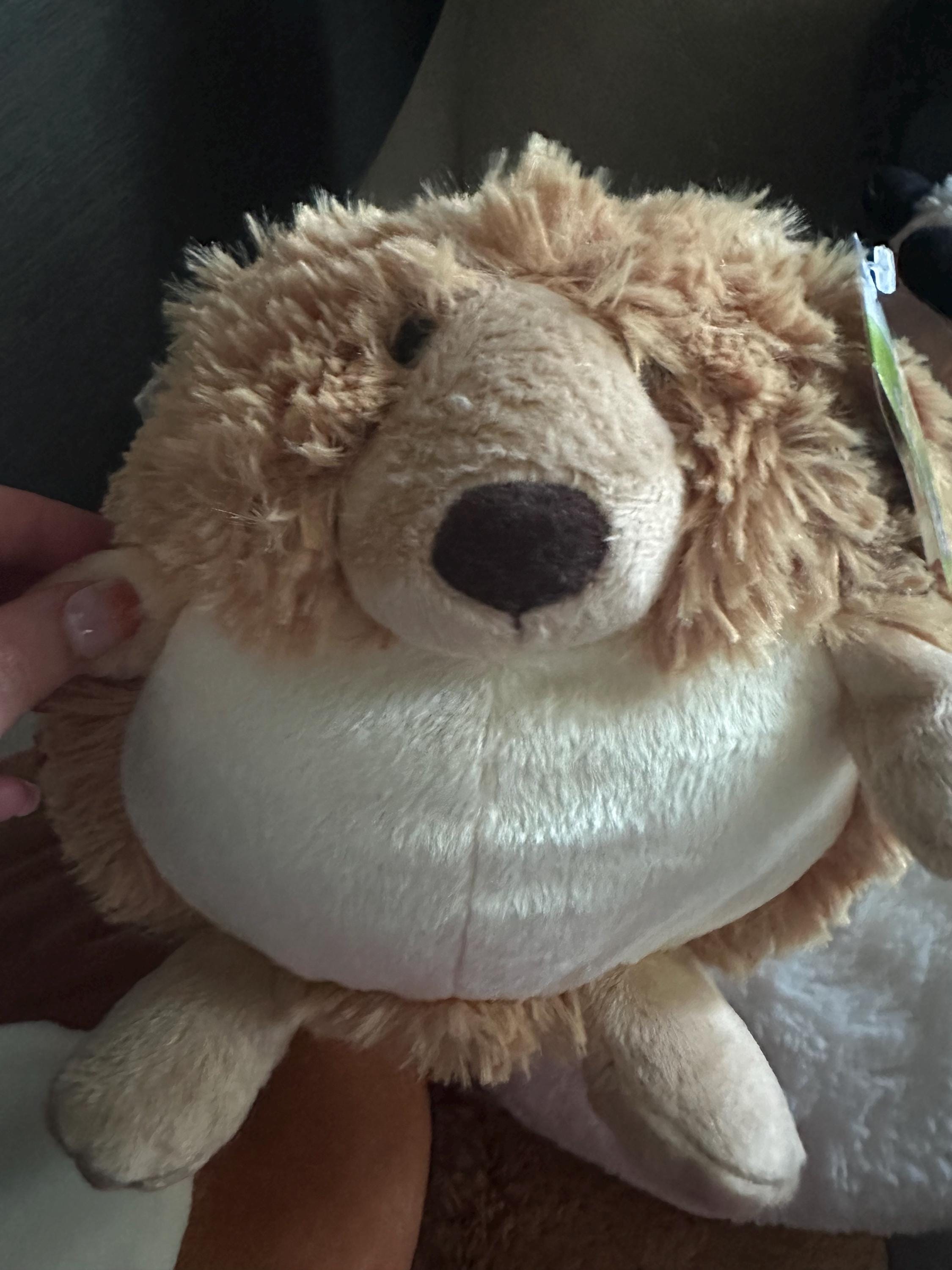 Haunted Teddy Bear Honeybear - Etsy