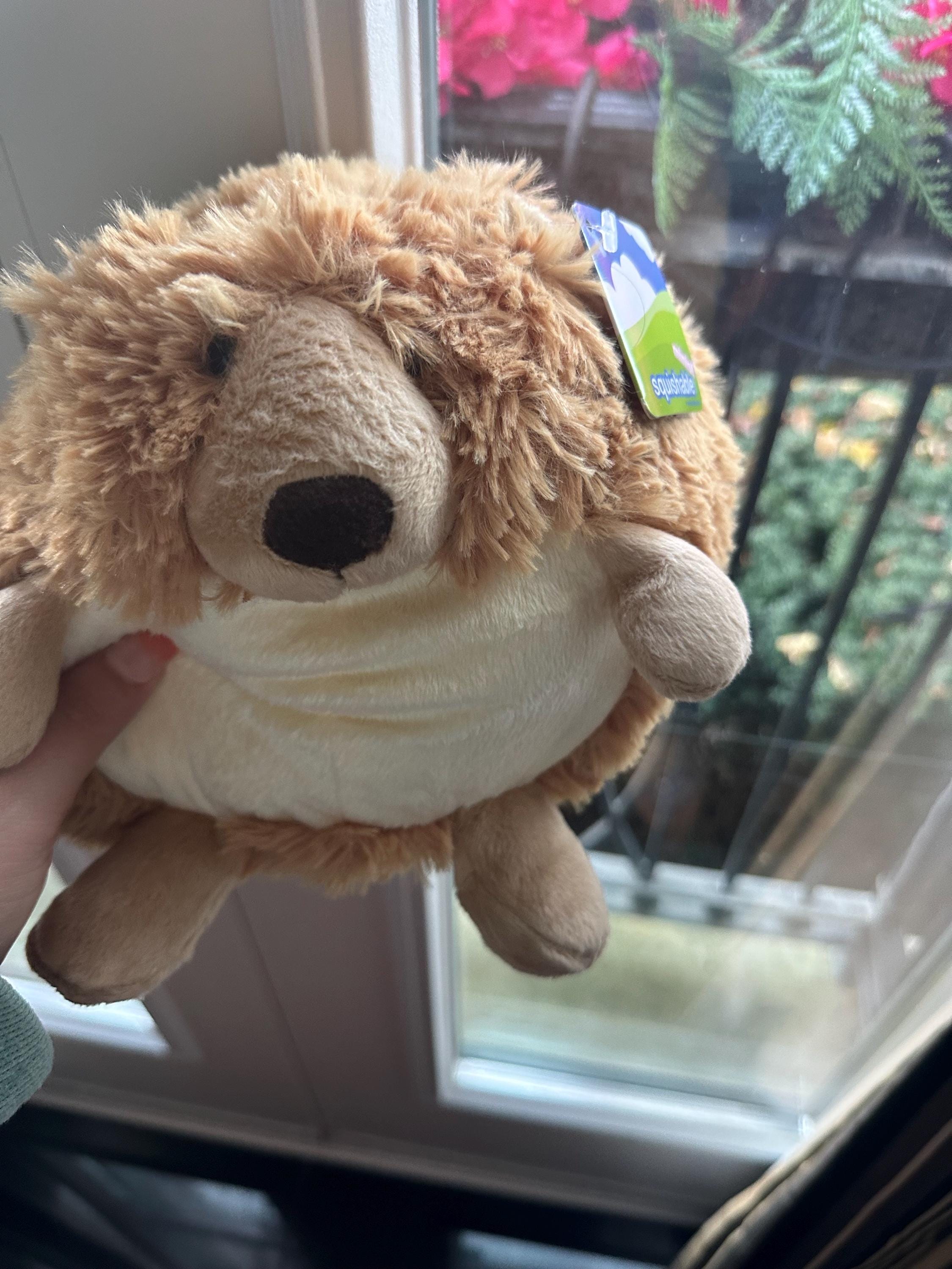 Haunted Teddy Bear Honeybear - Etsy