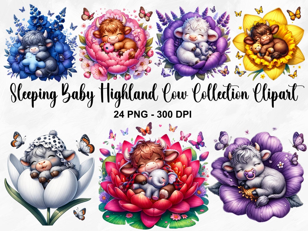 Watercolor Sleeping Baby Highland Cow Clipart, 24 PNG Cute Cow Clipart ...