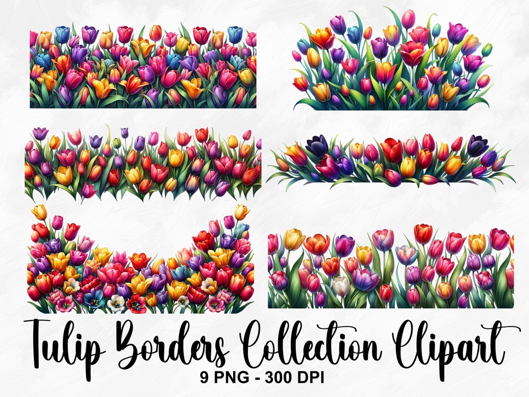 Watercolor Tulip Borders Collection Clipart, 9 PNG Flowers Clipart ...