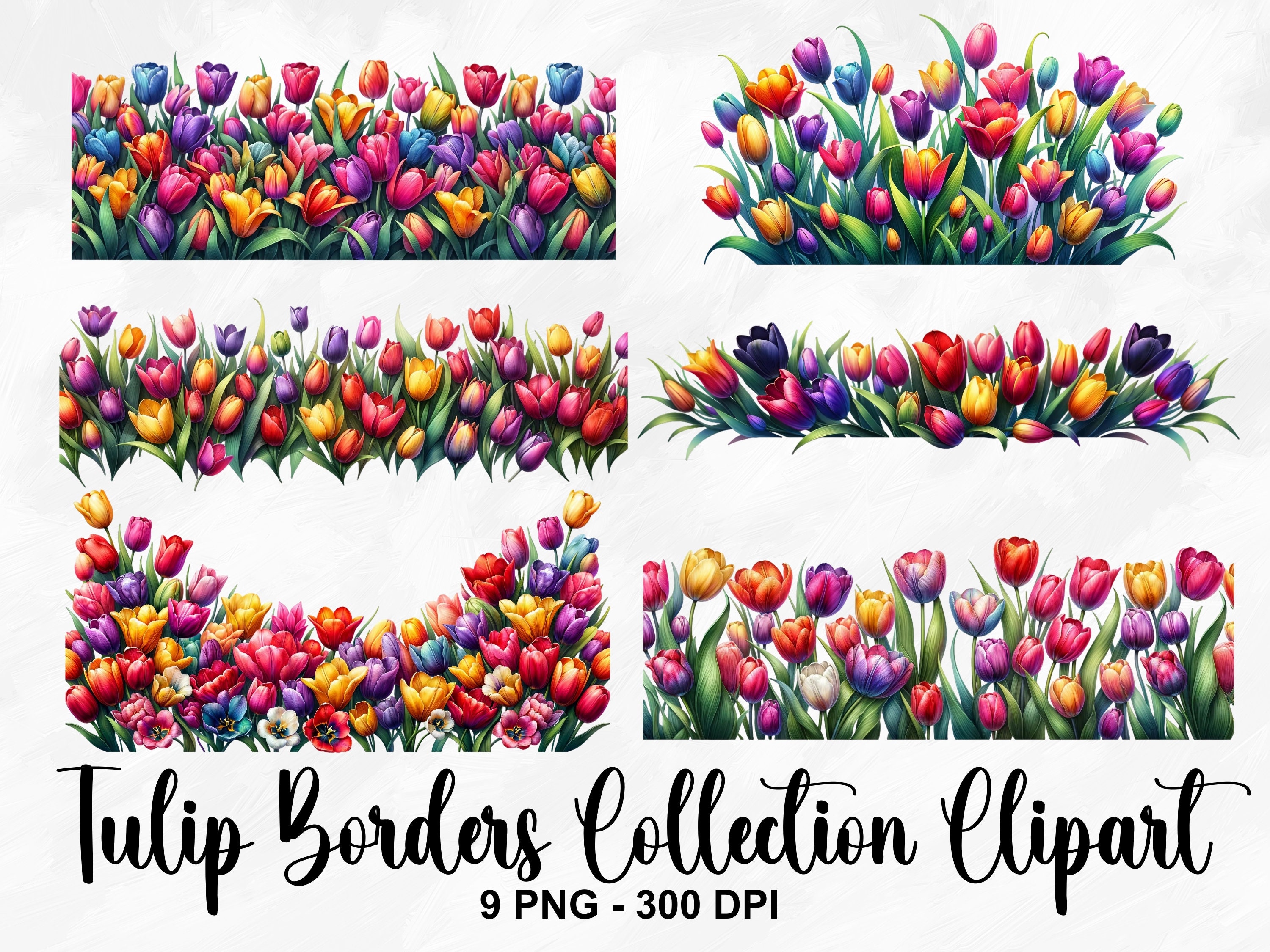 Watercolor Tulip Borders Collection Clipart, 9 PNG Flowers Clipart ...